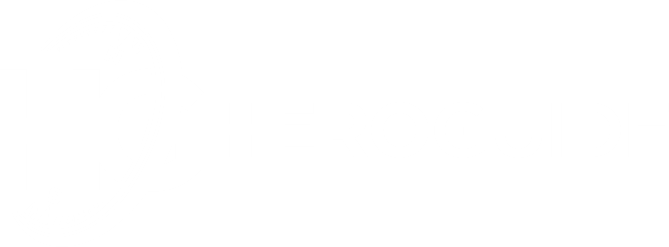 Find Your Ideal IT Solutions Now - myheroguide.com